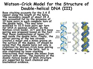 neucleic acids biosynthesis.ppt