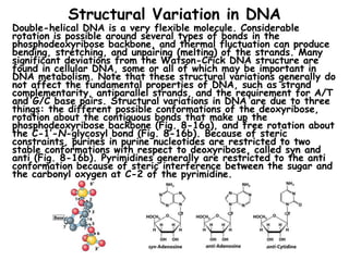 neucleic acids biosynthesis.ppt