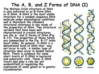neucleic acids biosynthesis.ppt