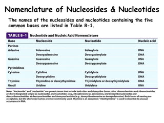 neucleic acids biosynthesis.ppt