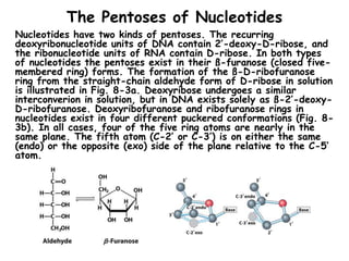 neucleic acids biosynthesis.ppt