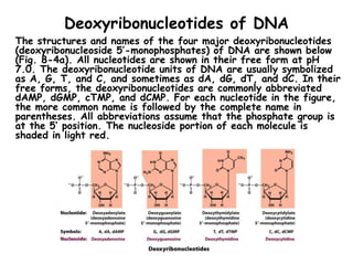 neucleic acids biosynthesis.ppt
