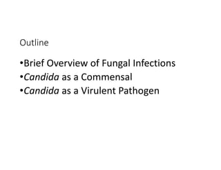 Pathogenesis and Immunity of Candida albicans | PDF