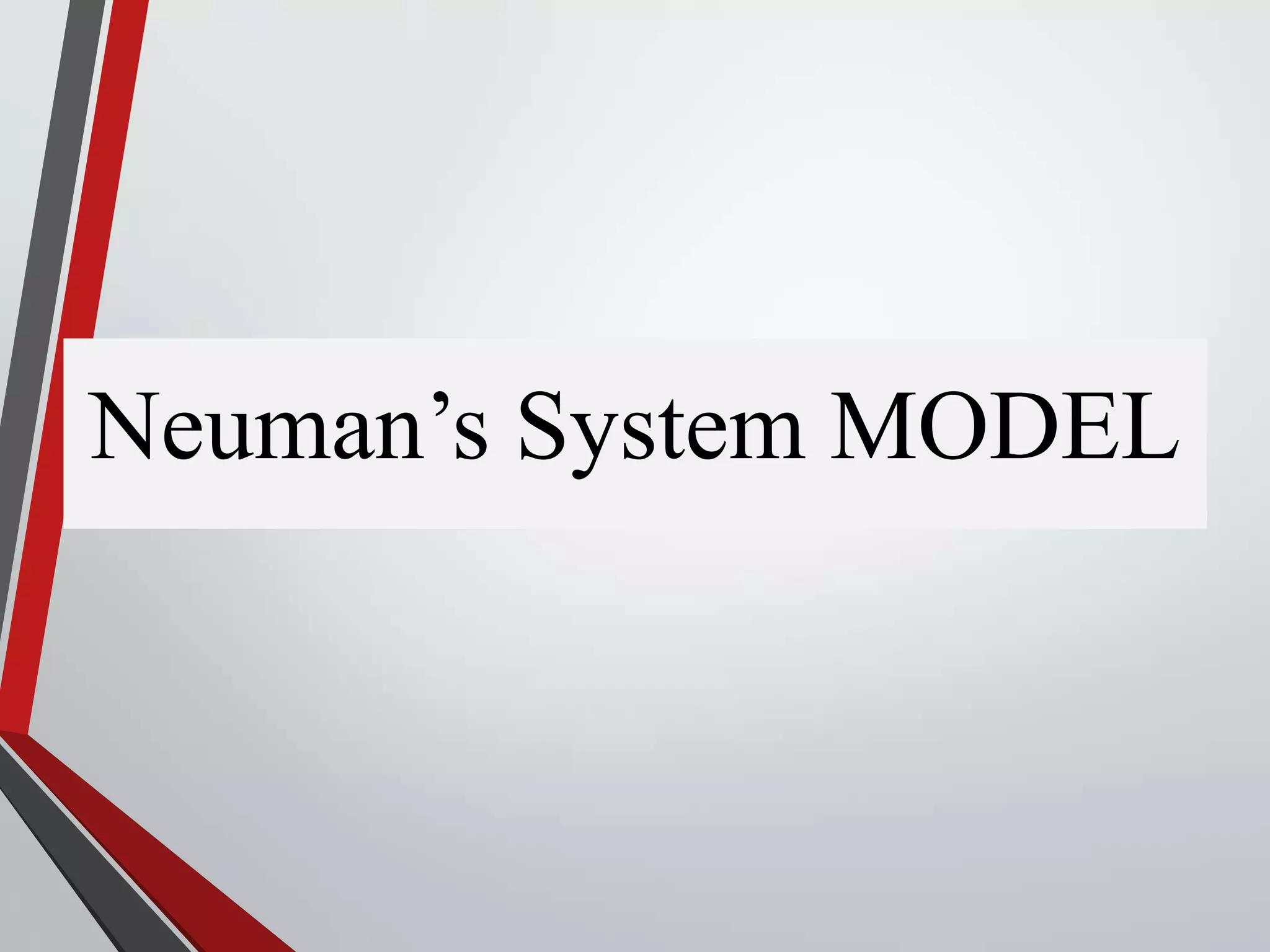 NEUMAN SYSTEMS MODEL.ppt