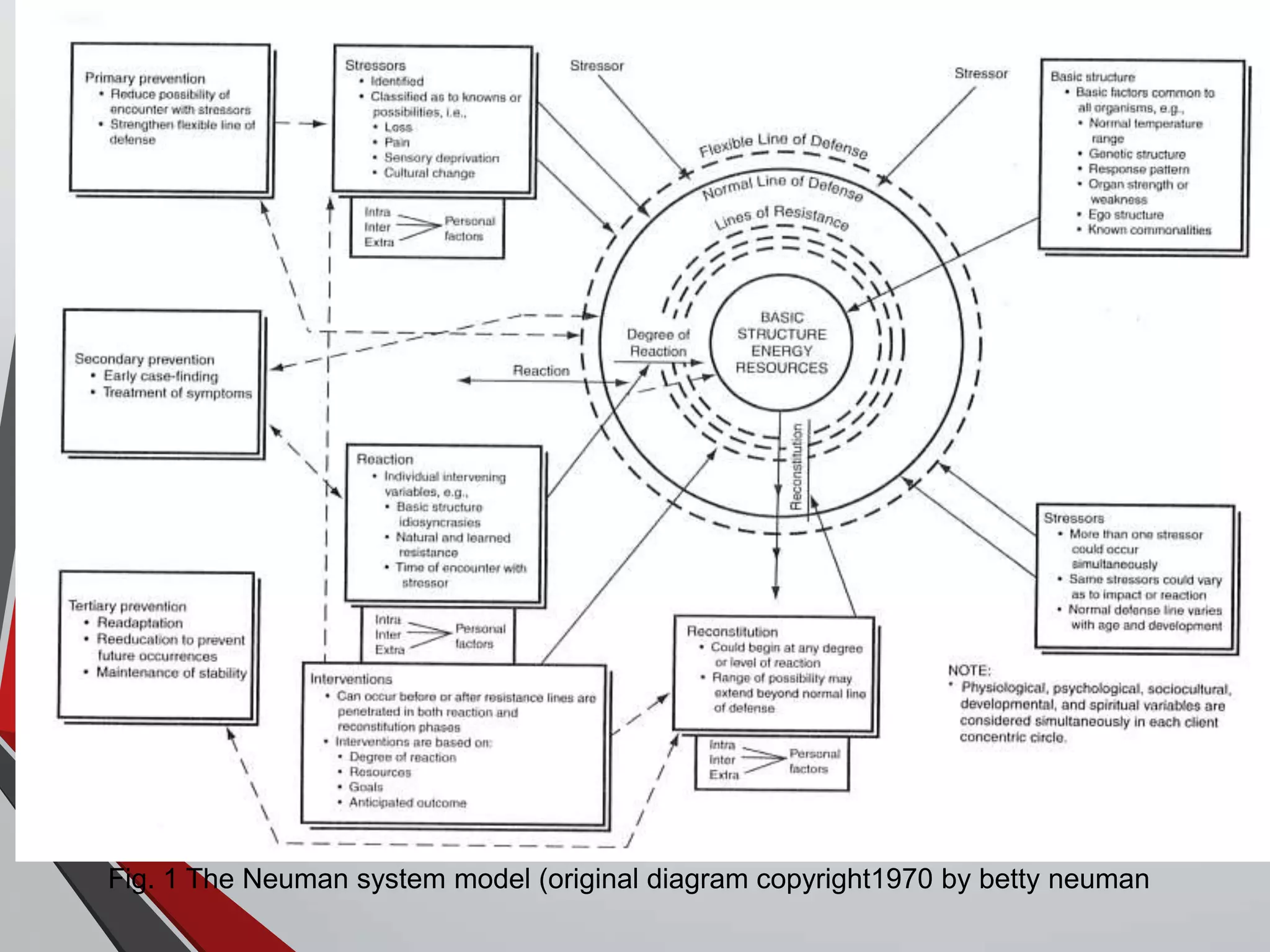 NEUMAN SYSTEMS MODEL.ppt