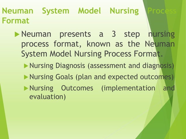 NEUMAN SYSTEMS MODEL.ppt