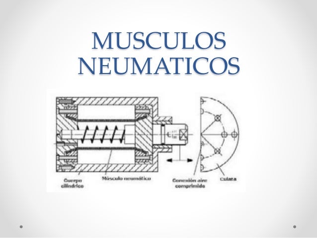 Neumatica