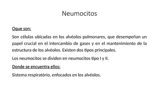 HISTOLOGIA NEUMOCITOS TIPO I Y TIPO II.pptx