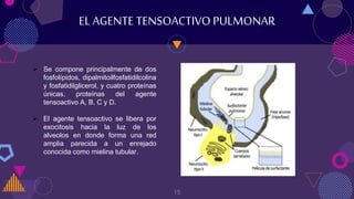 Neumocitos tipo ii | PPTX