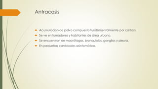 Neumoconiosis de los trabajadores del carbon antracosis | PPTX