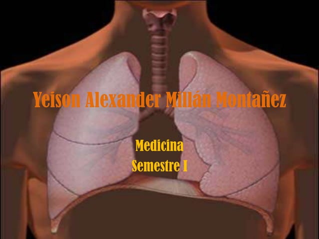 Neumonectomia. Yeison Alexander Millan Montañez semestre I Medicina ...