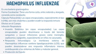 Neumonias bacterianas agudas tipos más comunes | PDF