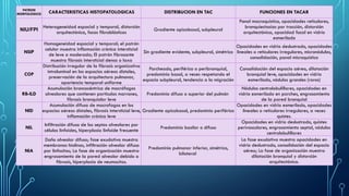 NEUMONIAS INTERSTICIALES EN TOMOGRAFIA.pptx