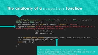 Accessing hemibrain data using Neuprintr | PPT