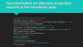 Accessing hemibrain data using Neuprintr | PPT