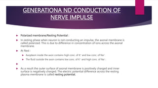 NEURAL-CONTROL-COORDINATION- PPT.PPTX ( | PPT