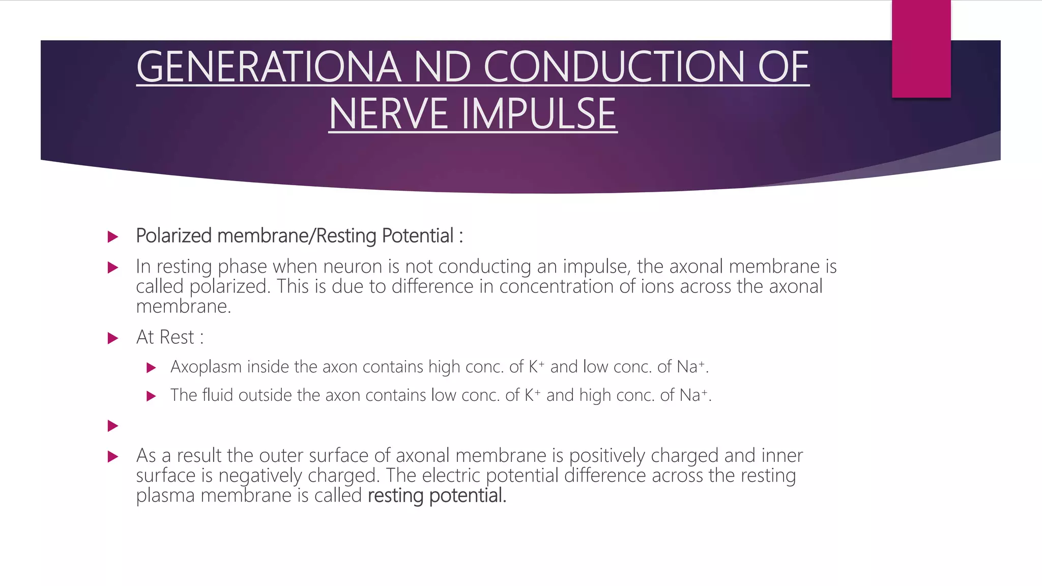 Neural control-coordination-ppt class xi | PPTX