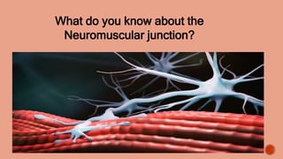 Neural-control-of-exercises-muscles.pptx