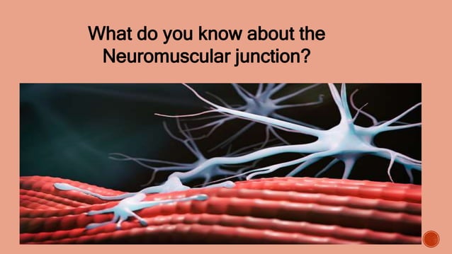 Neural-control-of-exercises-muscles.pptx