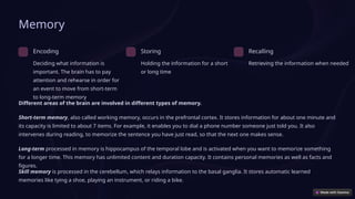 NEURAL-NETWORK.pptx HOW THE BRAIN FUNCTIONS | PPTX