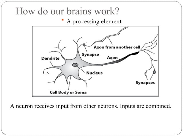 Neural-Networks full covering AI networks.ppt | Computer Networking | Computing