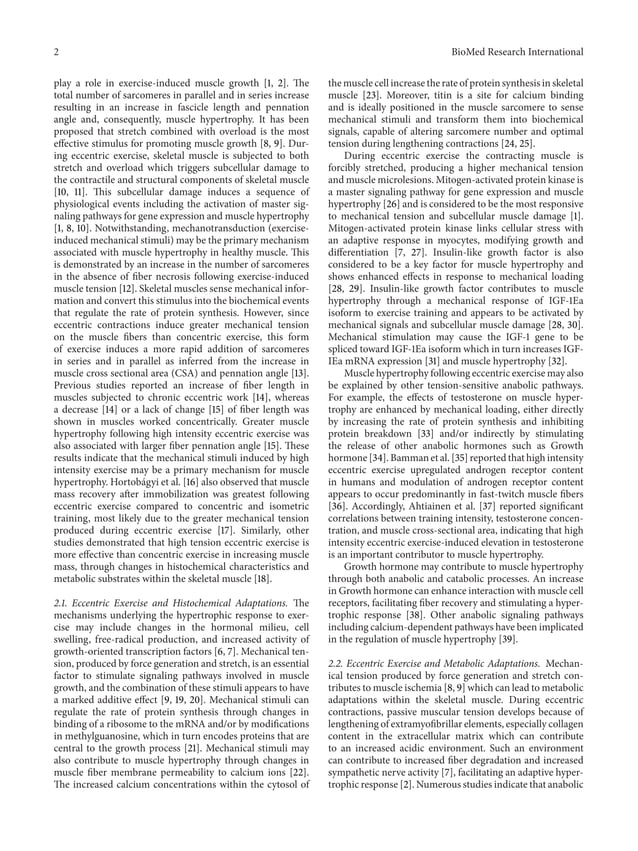 Neural adaptation | PDF