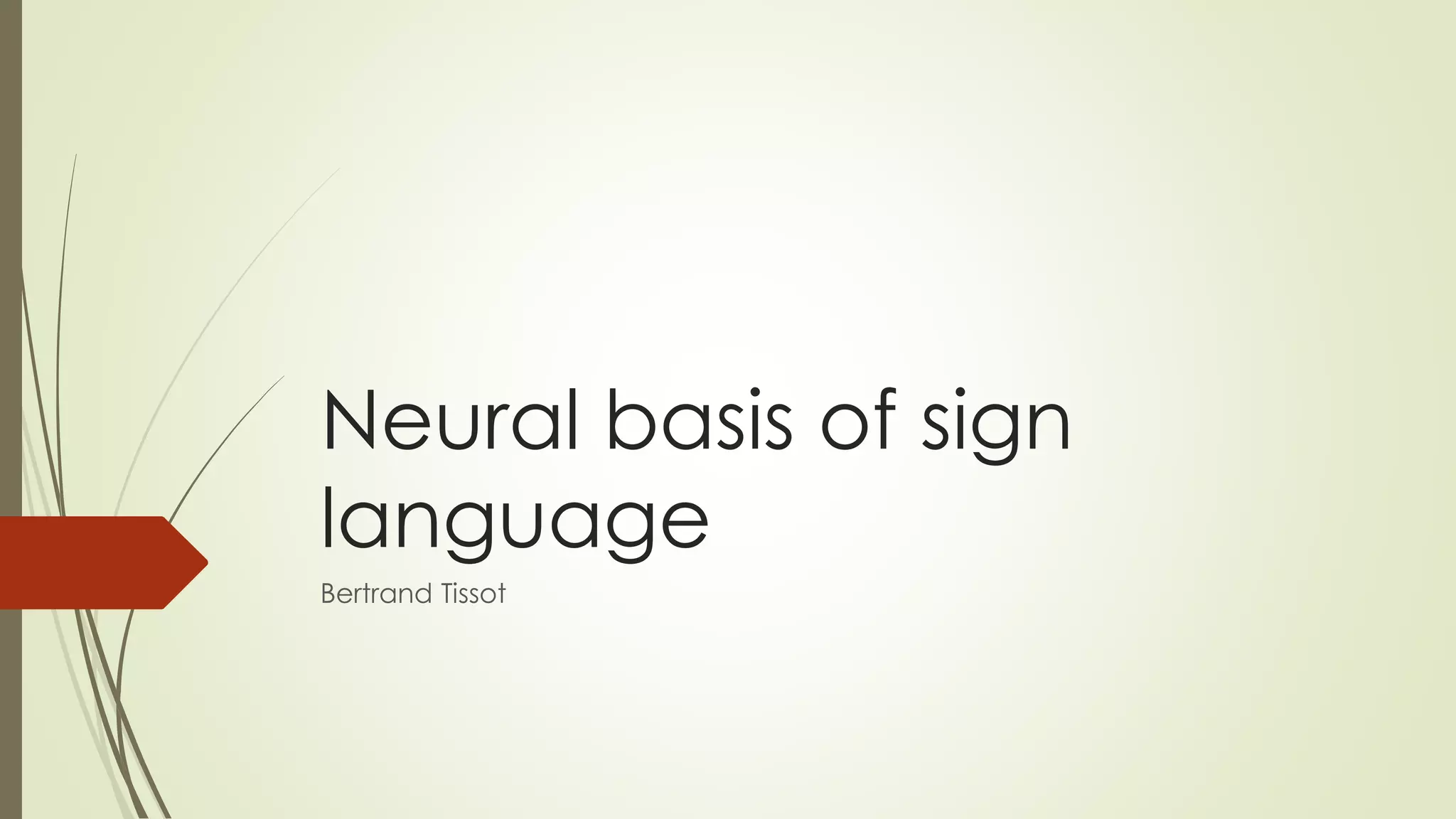 Neural basis of sign language | PPT