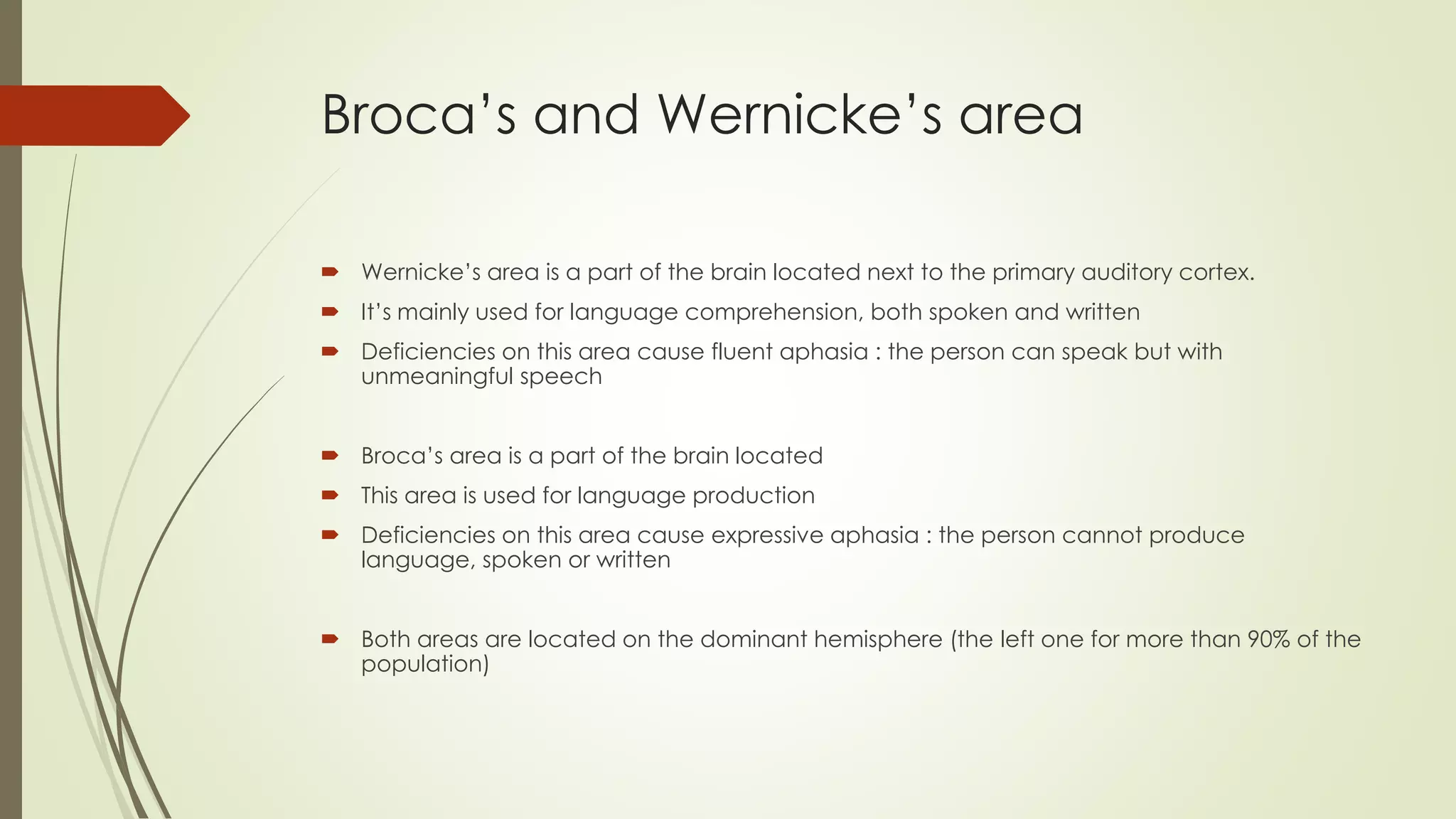 Neural basis of sign language | PPT