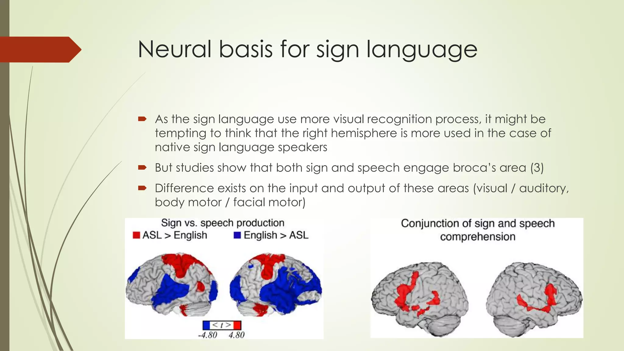Neural basis of sign language | PPT