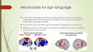 Neural basis of sign language | PPT