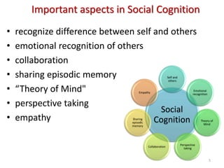 Neural basis of social cognition based on fMRI studies, Yoko Mano | PDF
