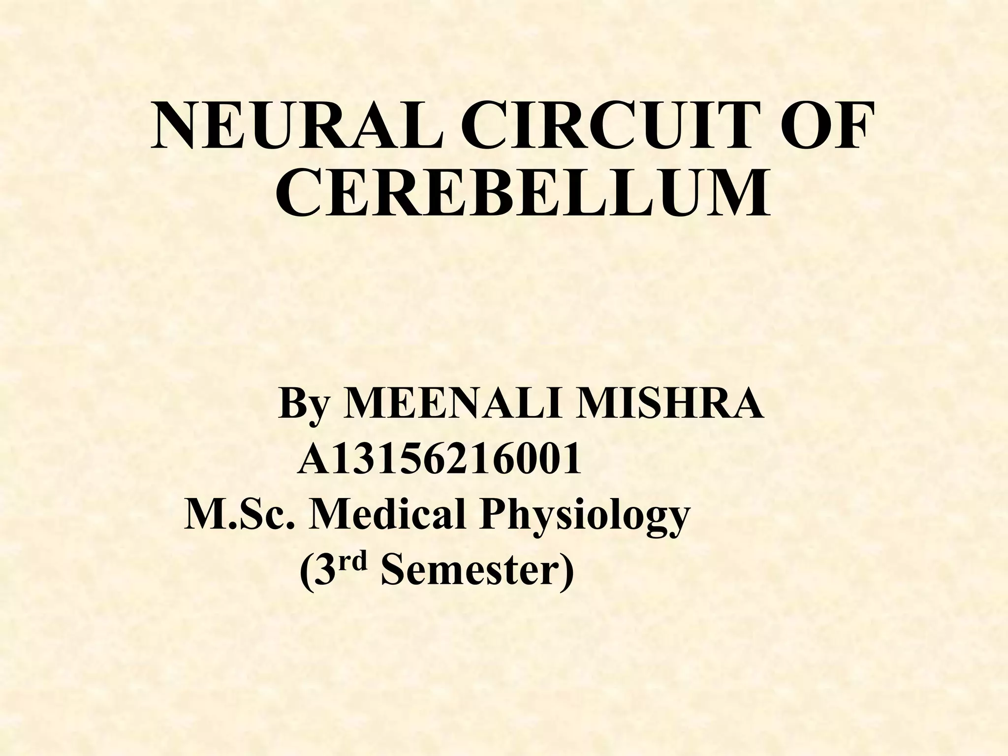 Neural circuit of cerebellum, | PPTX