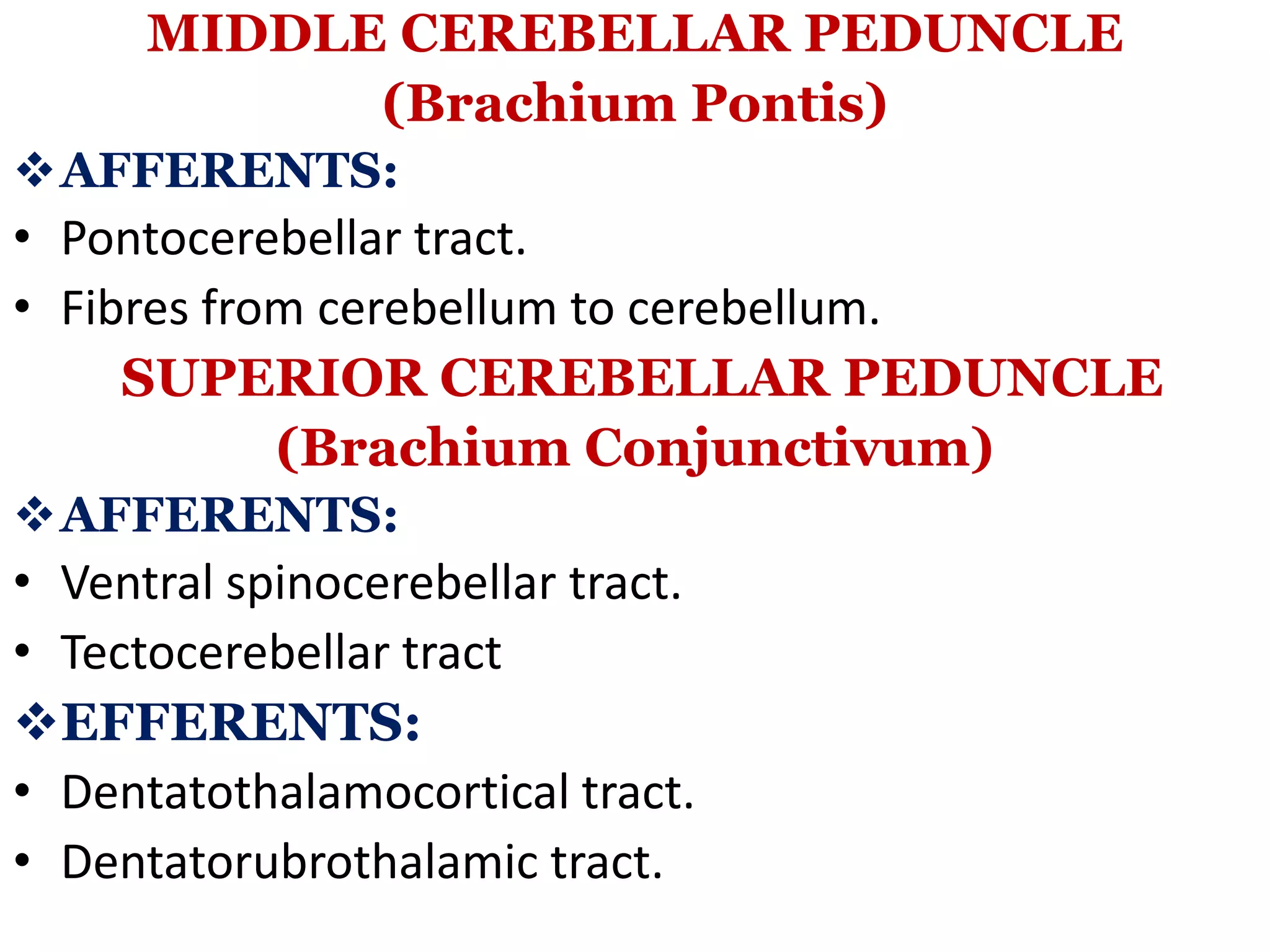 Neural circuit of cerebellum, | PPTX