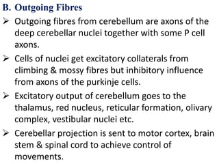 Neural circuit of cerebellum, | PPTX