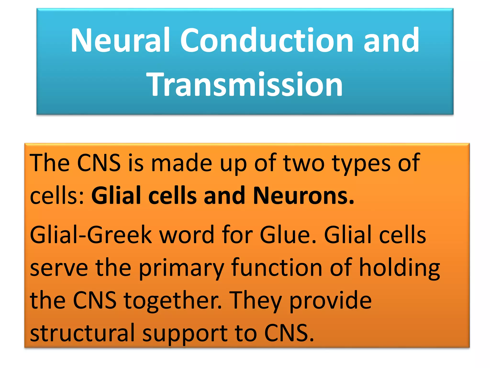 Neural Conduction and Transmission | PPTX
