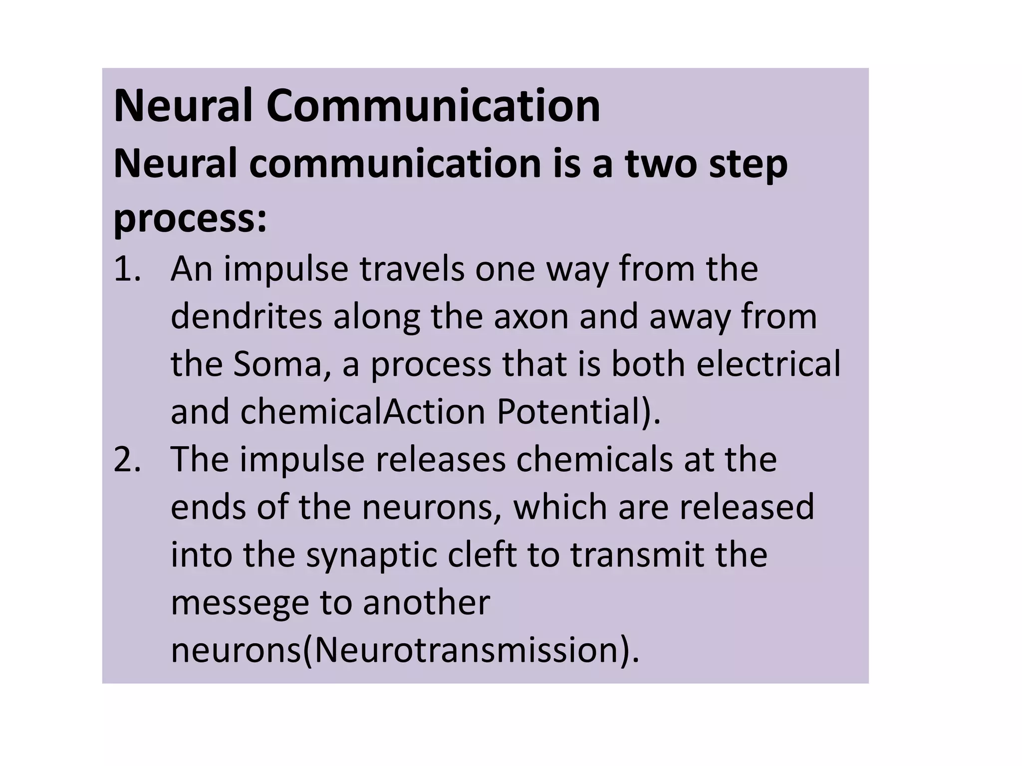 Neural Conduction and Transmission | PPTX