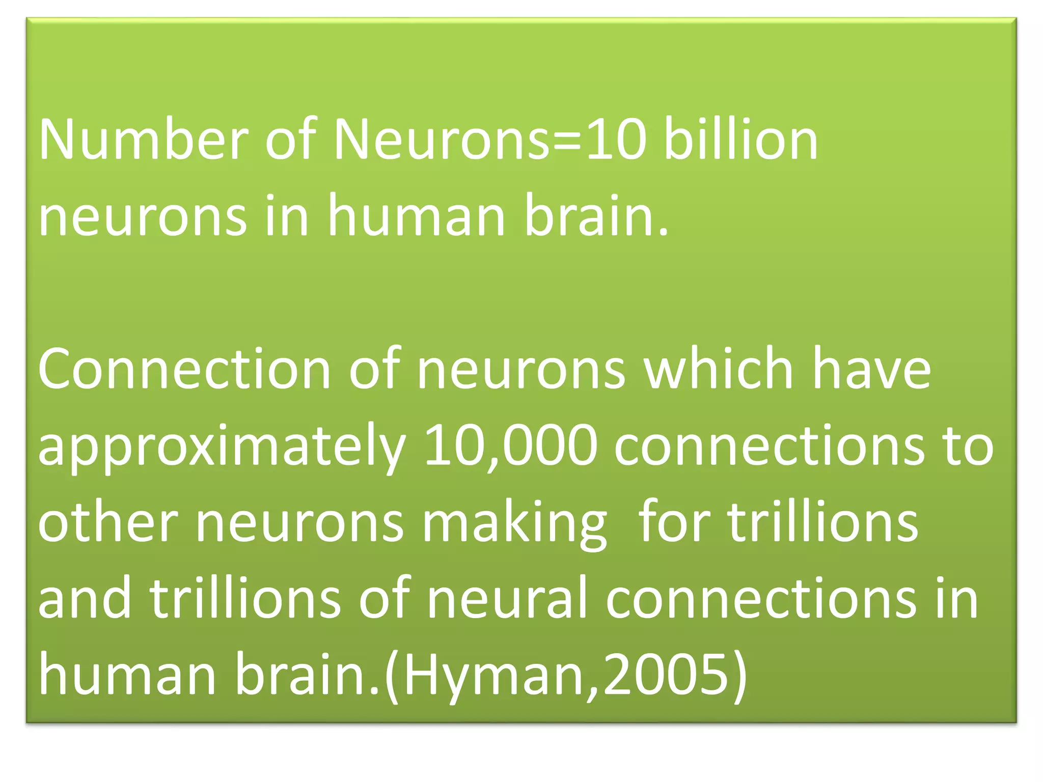 Neural Conduction and Transmission | PPTX