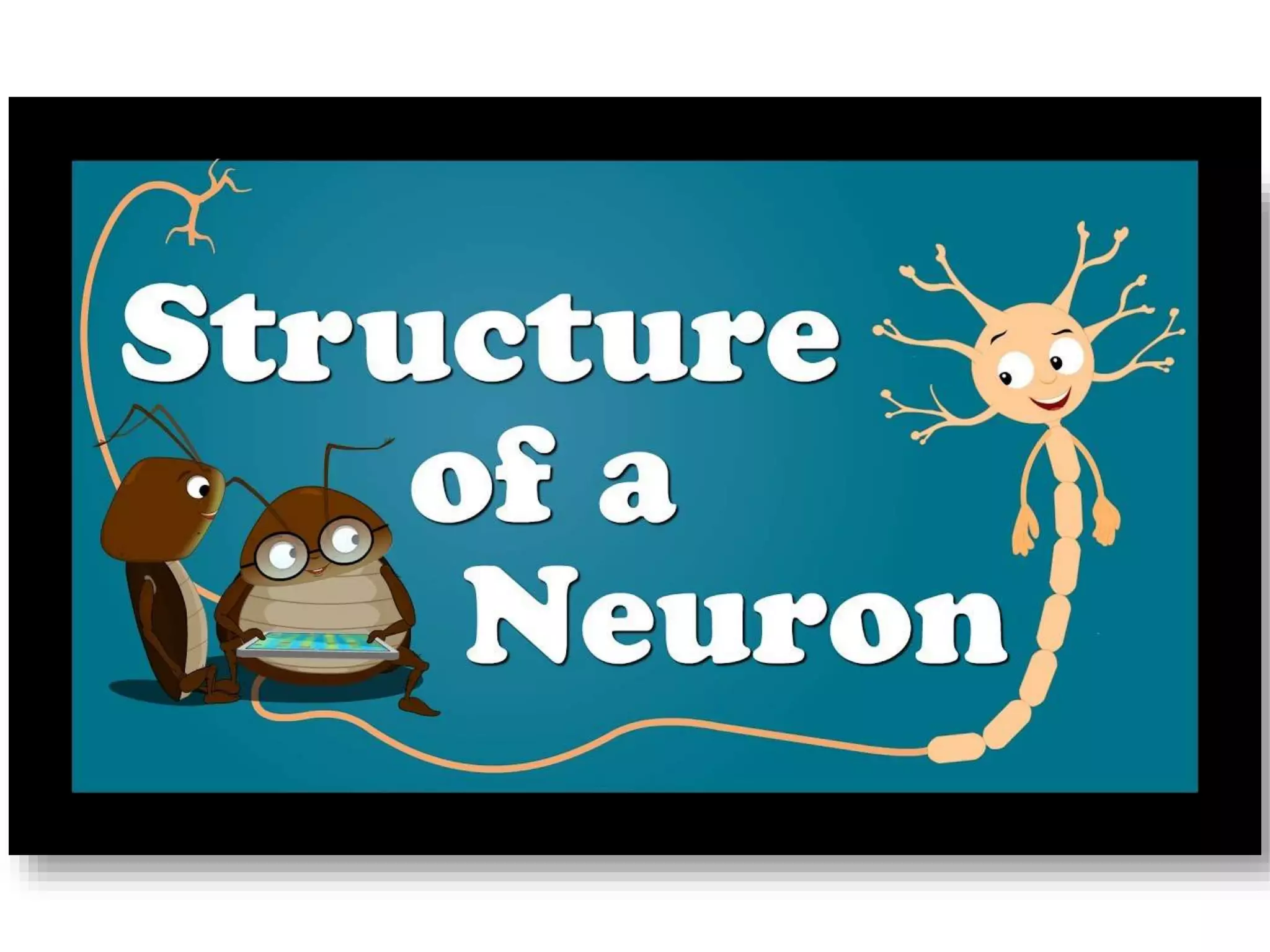 Neural Conduction and Transmission | PPTX