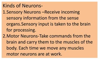 Neural Conduction and Transmission | PPTX