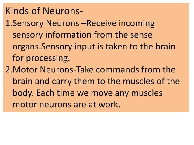 Neural Conduction and Transmission | PPTX