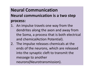 Neural Conduction and Transmission | PPTX