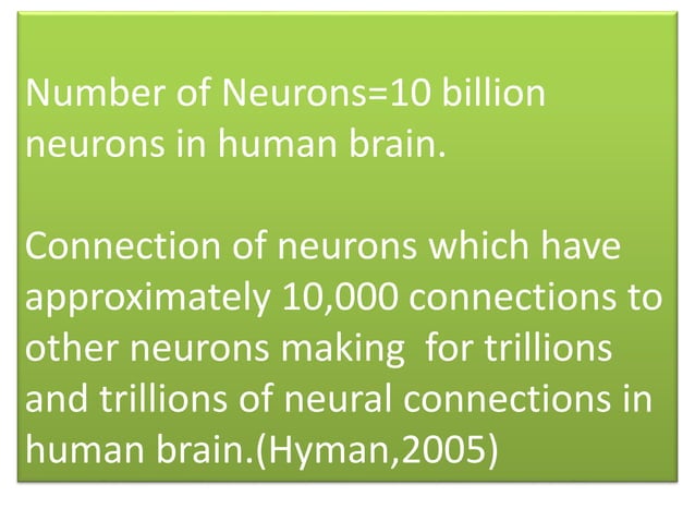 Neural Conduction and Transmission | PPTX