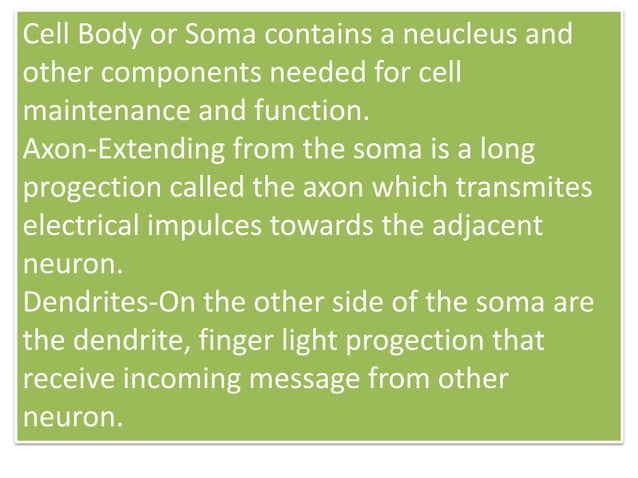 Neural Conduction and Transmission | PPTX