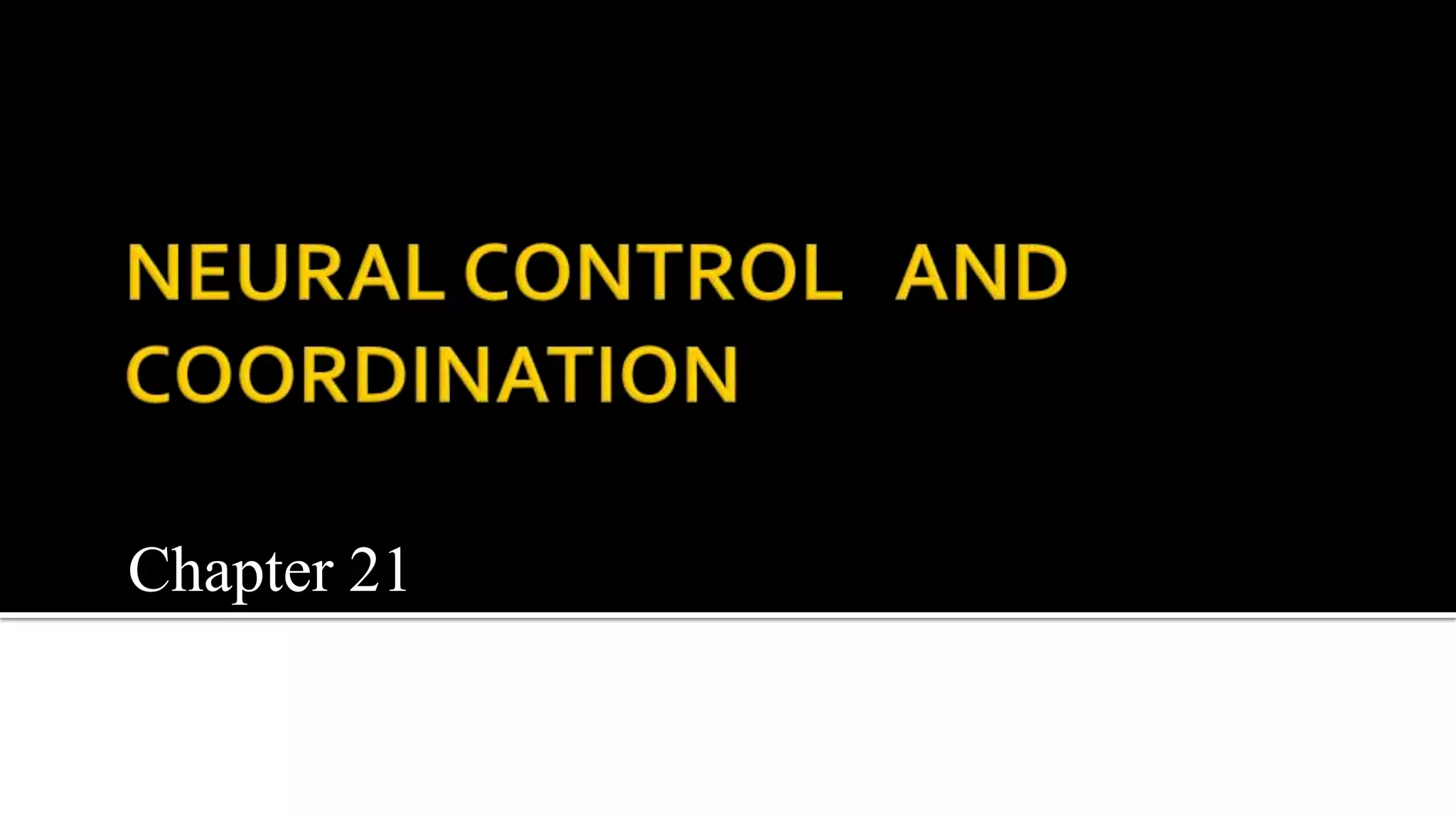 Neural Control And Coordination | PPT