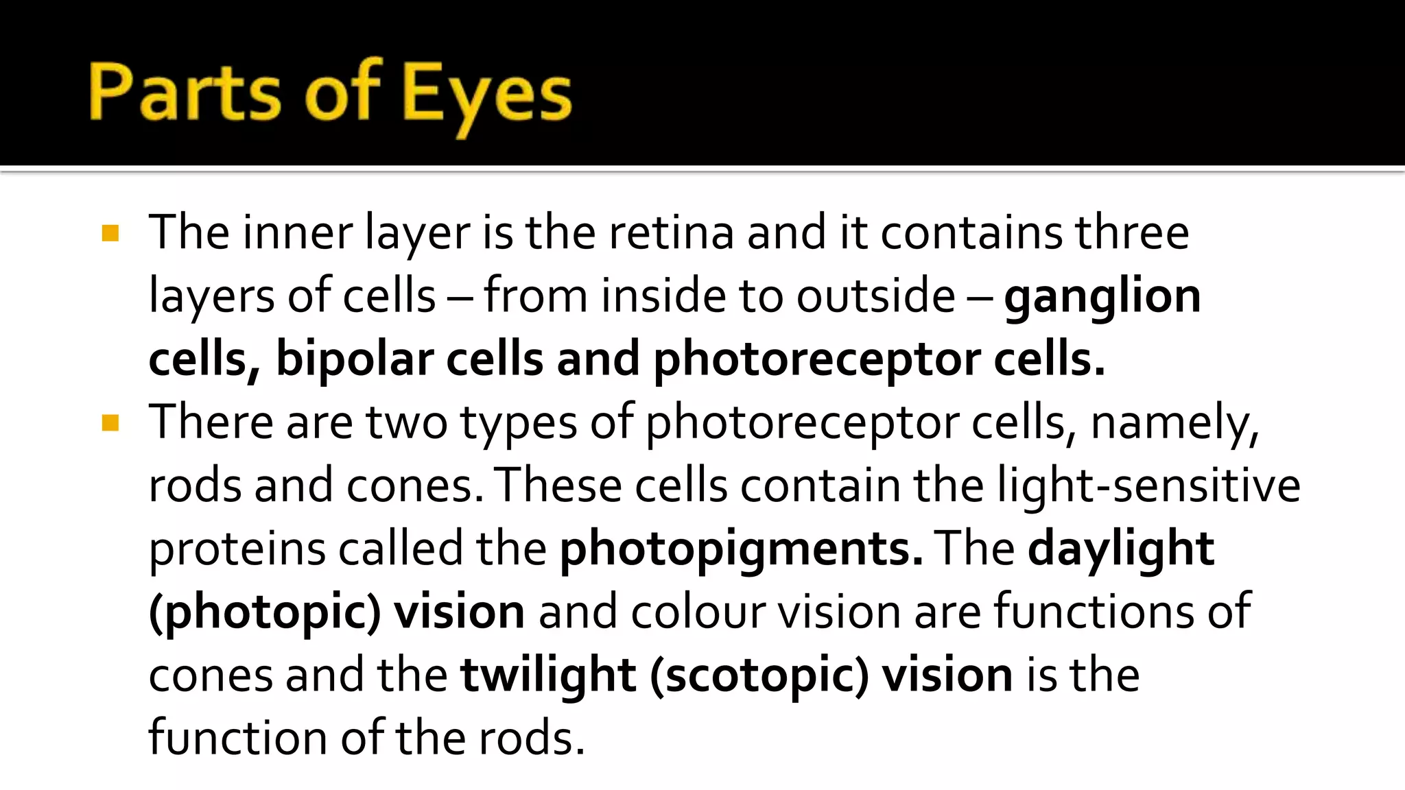 Neural Control And Coordination | PPT