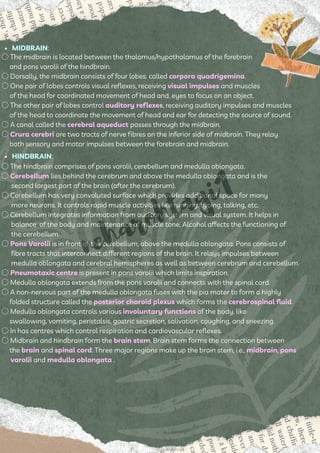 Neural Control and Coordination Class 11th CBSE NCERT Biology | PDF