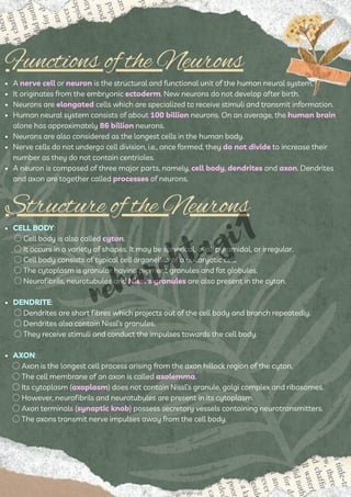 Neural Control and Coordination Class 11th CBSE NCERT Biology | PDF