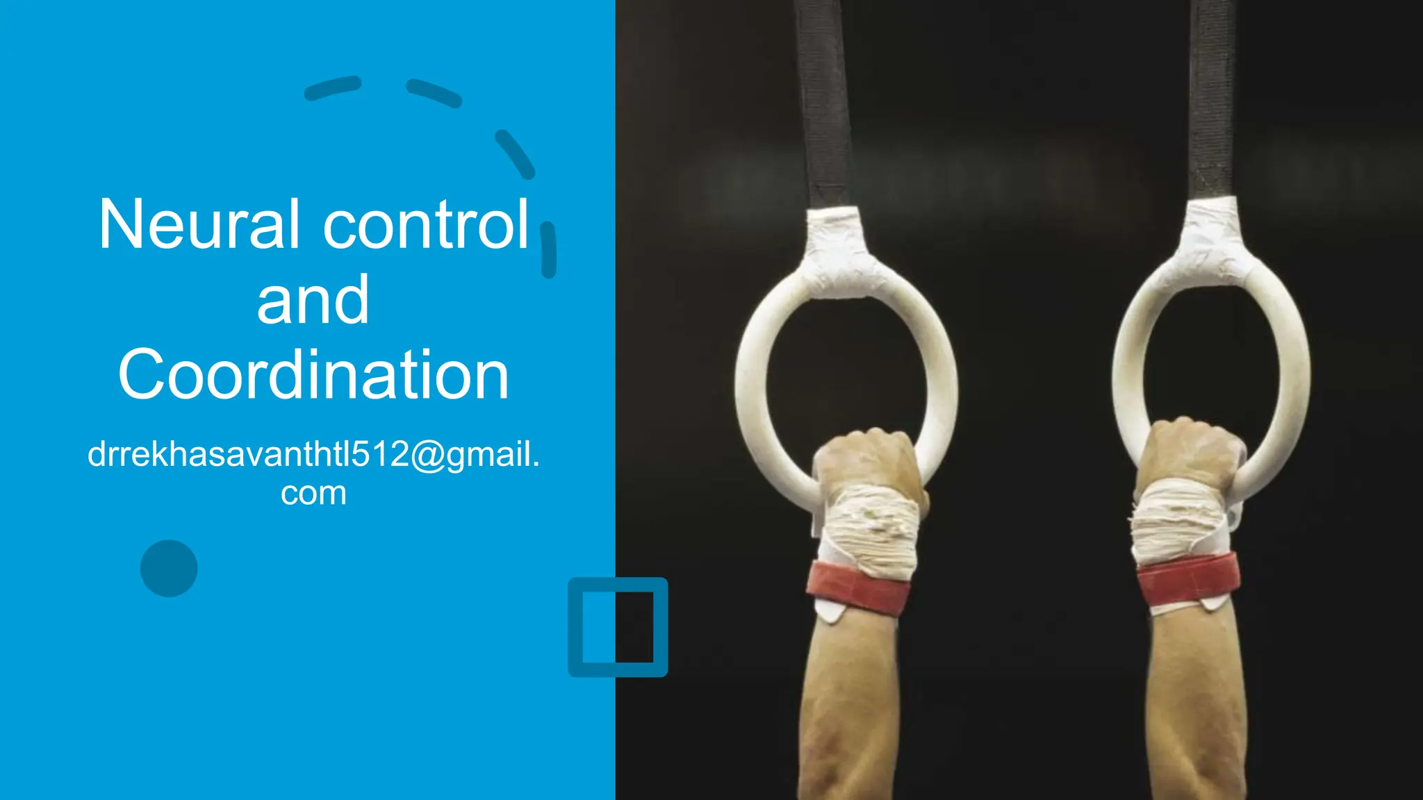 Neural control and Coordination class 11.ppt (1).pptx