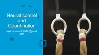 Neural control and Coordination class 11.ppt (1).pptx