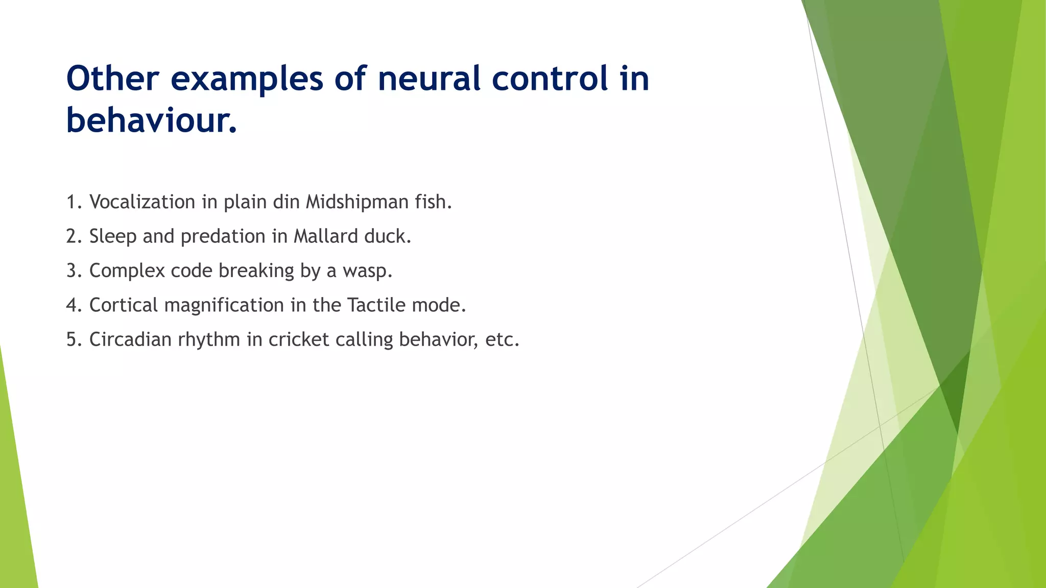 Neural_control_of_animal_behaviour[1]789.pptx
